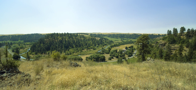 Red Tail Ridge - Woodbridge Real Estate